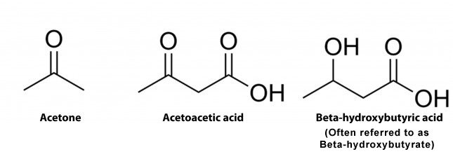 What Ketone and Fatty Acid Oxidation Results Mean | MosaicDX