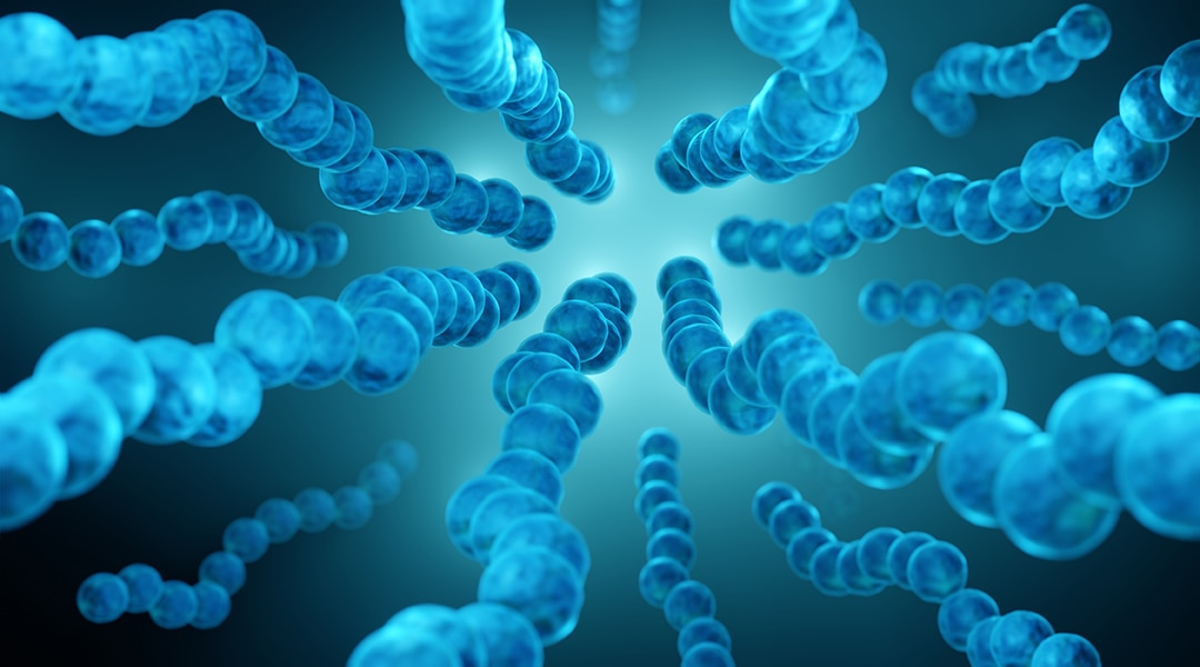 Our Streptococcus Antibodies Profile | MosaicDX