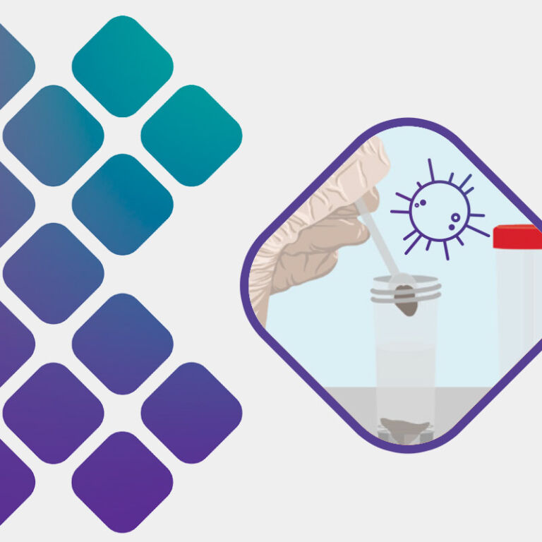 Comprehensive Stool Analysis with Parasitology Sample Collection ...