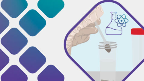 Comprehensive Guide to Mycotoxin Binders - MosaicDX