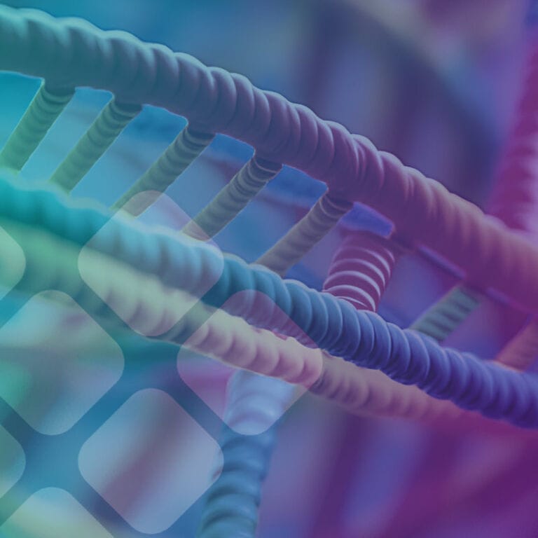 The DNA Methylation Pathway Panel – Clinical Application of Various ...