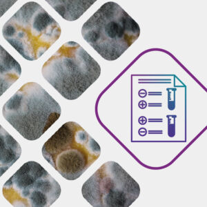 Mold IgE Allergy Sample Test Report - MosaicDX