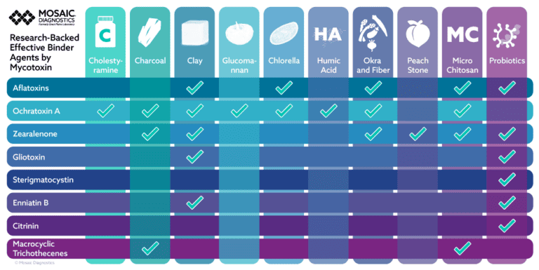 Comprehensive Guide to Mycotoxin Binders - MosaicDX