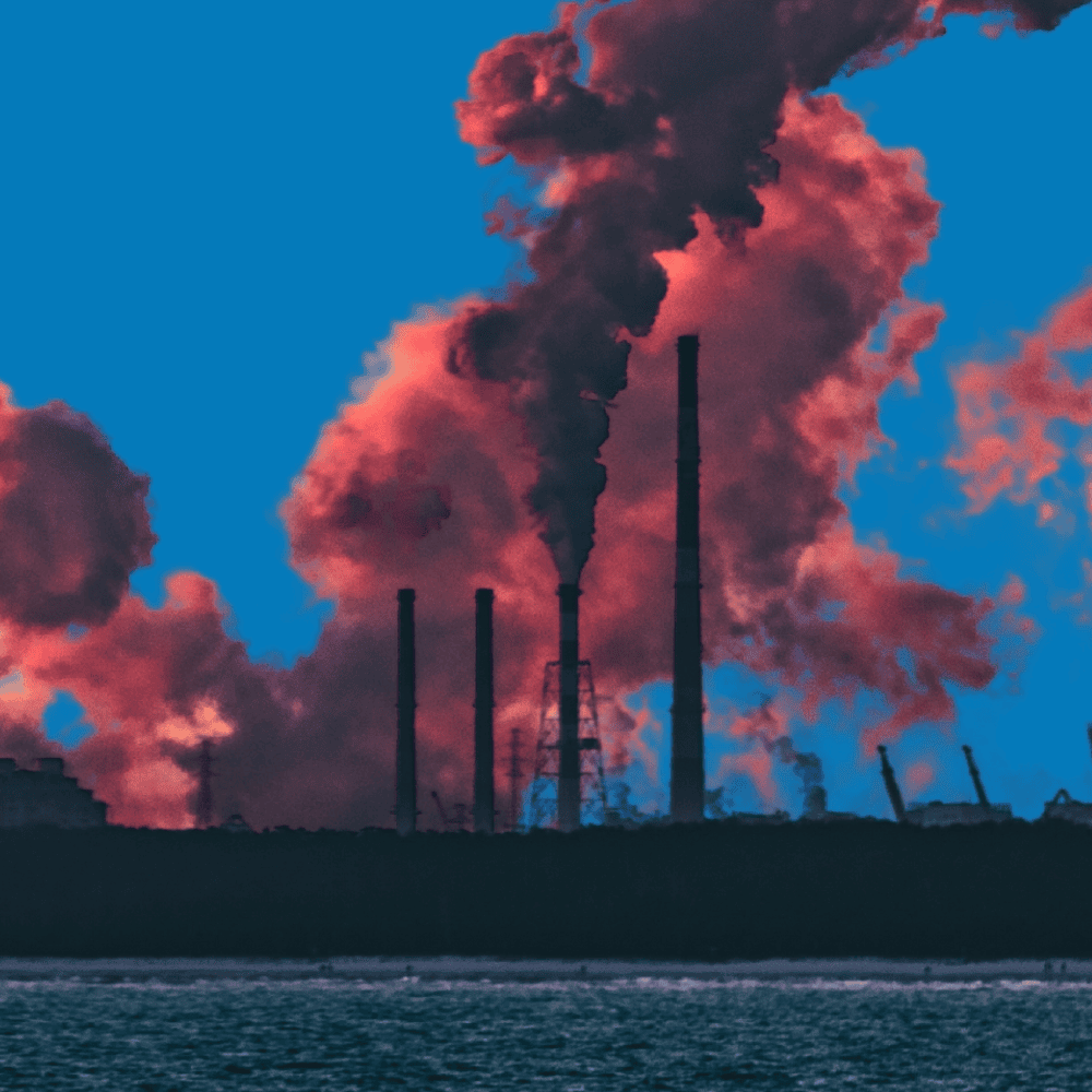 Environmental Toxicant Test - TOXDetect Profile®