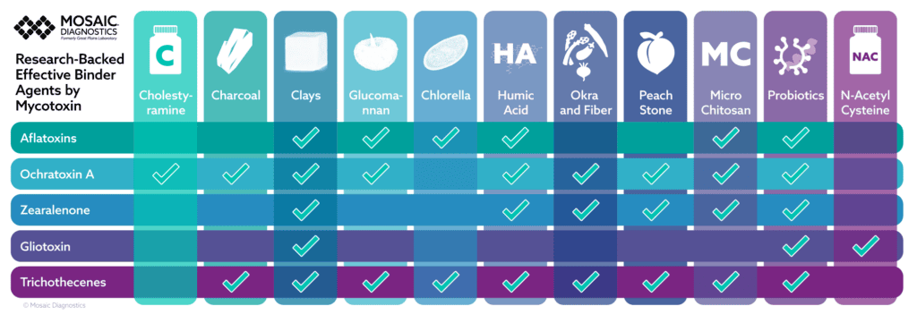 Comprehensive Guide to Mycotoxin Binders - MosaicDX