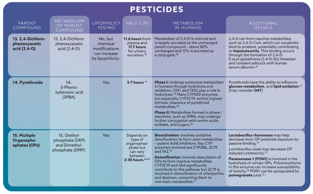 How the Body Metabolizes Environmental Toxicants: Metabolite Chart ...