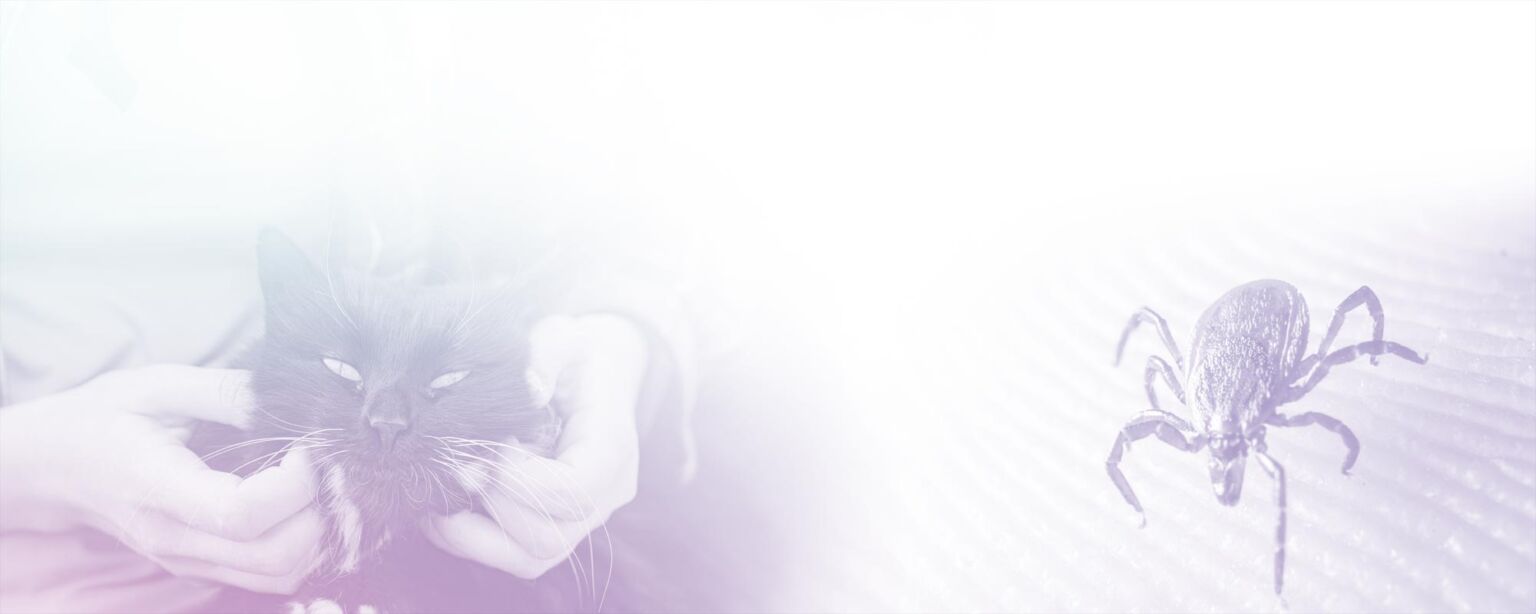 Lyme + Co-infections Archives - MosaicDX